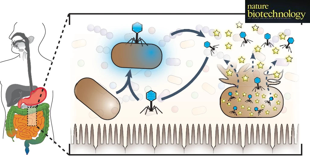 Research Update – Laboratory of Innate Immune Memory & Inflammation ...